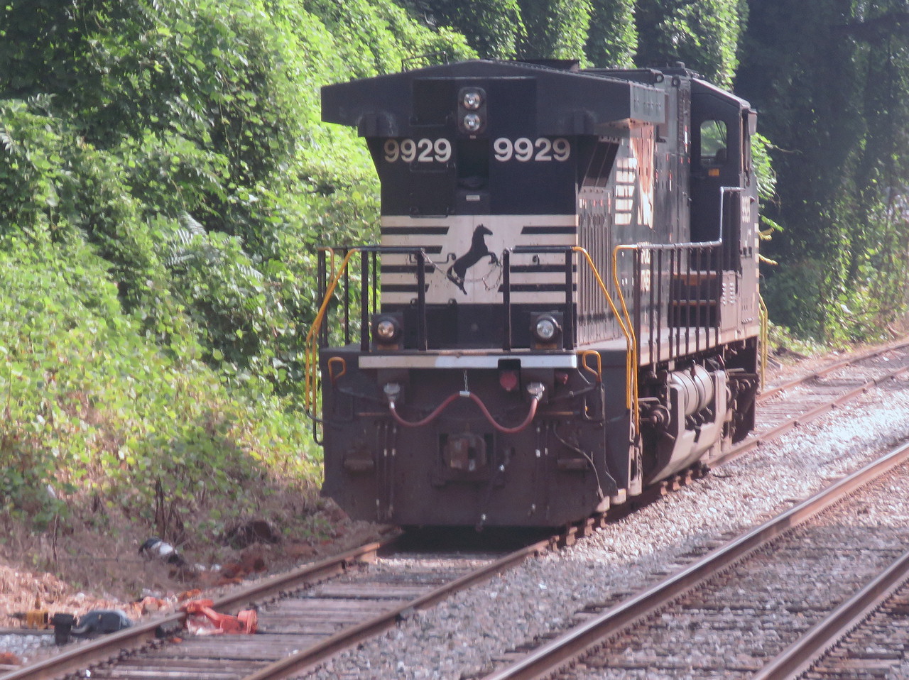 PHOTOS: ROANOKE TRAIN 151