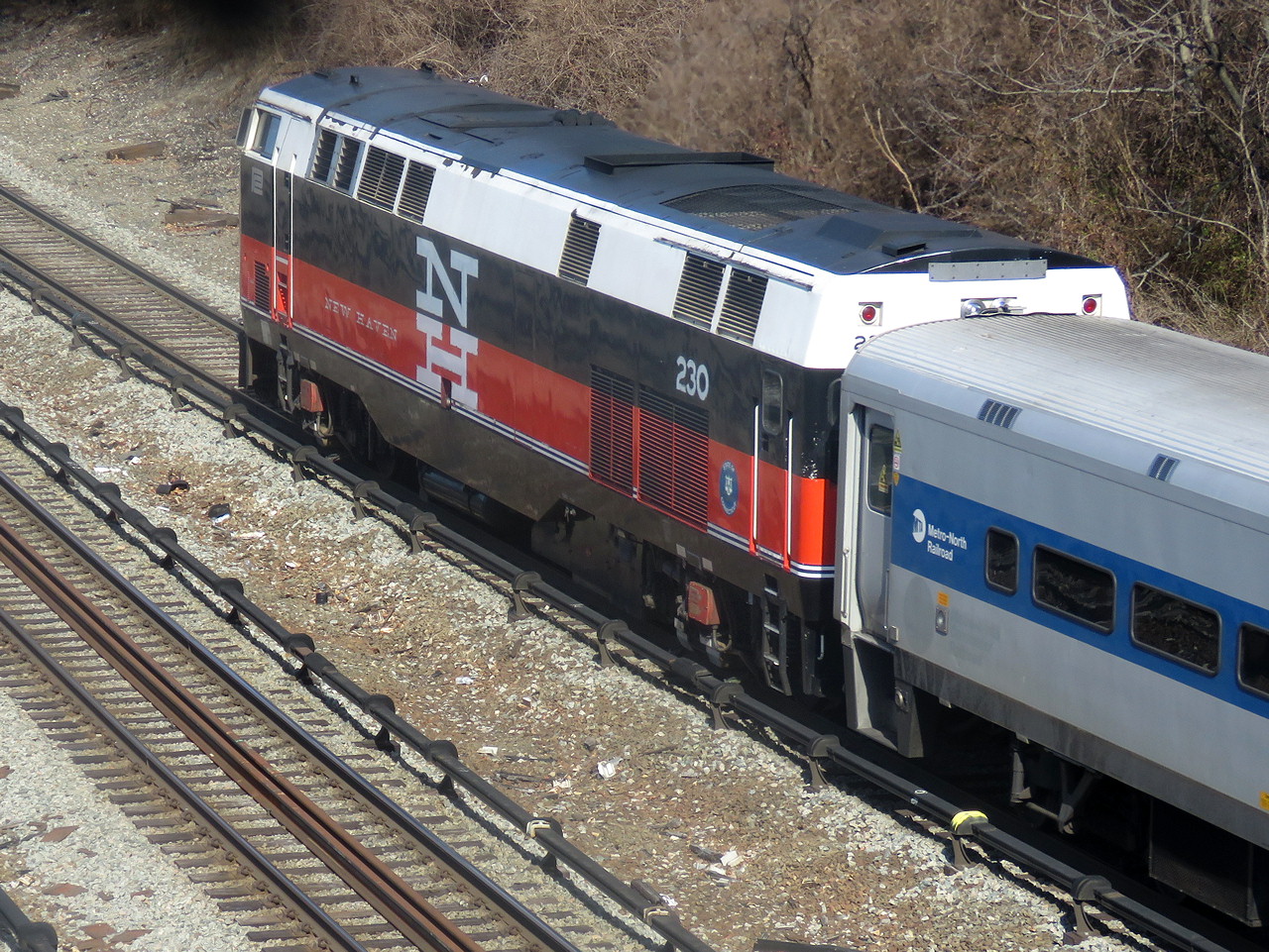 PHOTOS: CROTON HARMON